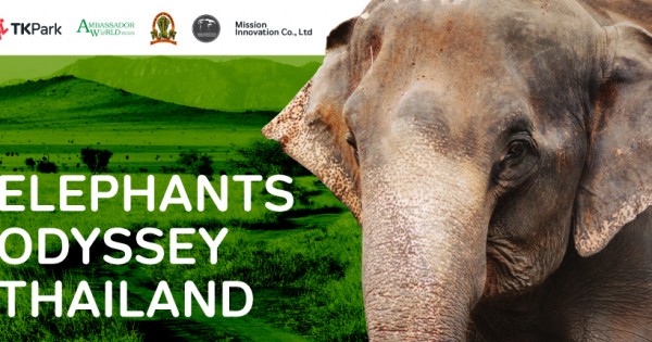 Elephants Odyssey Thailand
